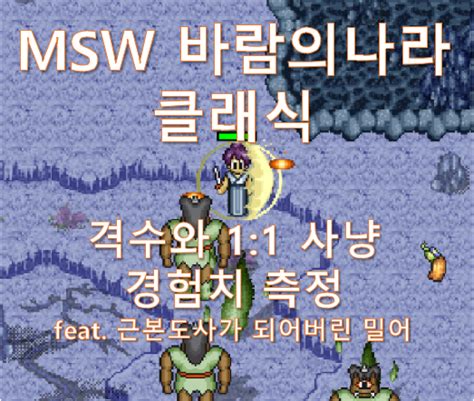 Msw 바람의나라 클래식 도사 격수와 사냥터별 경험치 측정