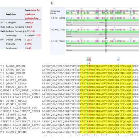 Bioinformatic Analysis Of The Mutation A Pathogenicity Prediction Of