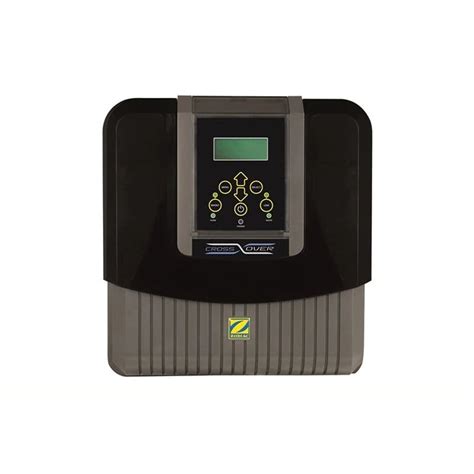 Best Pool Shells In Australia Explore Sizes Shapes And Colours