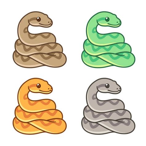 Python Royal Illustrations Vectoriels Et Illustrations Libres De Droits