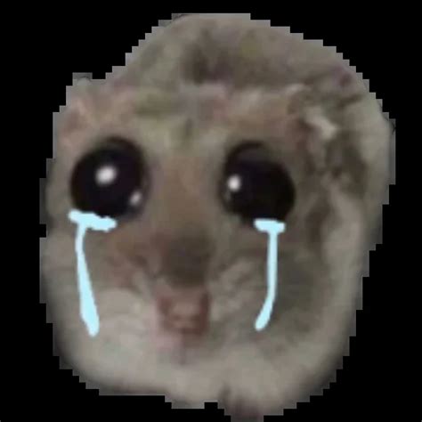 64 Telegram Sticker 😀 From «Грустный хомяк Pack