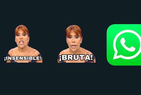 Whatsapp Magaly La Firme Cómo Descargar Los Stickers De Magaly