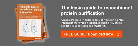 Modified Ripa Lysis Buffer Recipe Bryont Blog