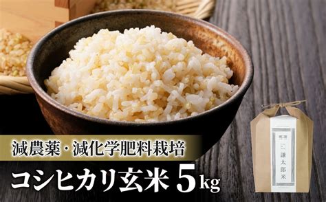 （先行予約）【太陽と大地】八重原産特別栽培米（減農薬・減化学肥料栽培）コシヒカリ玄米5kg お米 コシヒカリ 玄米 美味しい 甘い ギフト お