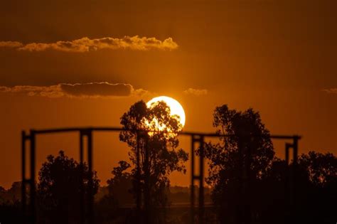 Premium Photo Orange Sunrise With Sun Behind Trees