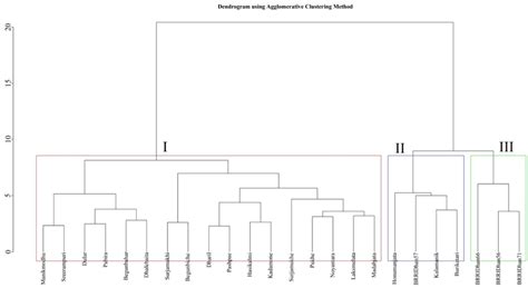 Dendrogram From Upgma Clustering For 24 Rice Genotypes Using Euclidean