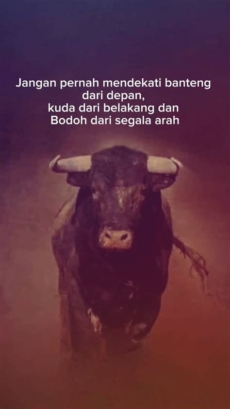 The Deep Thoughts Jangan Lupa Follow Aku Guys 🥷🏿 Instagram