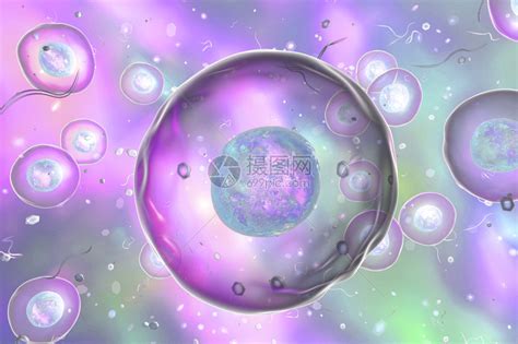 人类或动物细胞背景丰富多插画图片下载 正版图片402303277 摄图网
