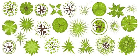 Premium Vector Trees And Plants Top View For Landscape Design Icon