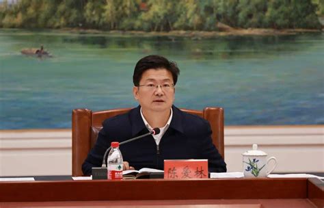 陈爱林主持召开春节前重点工作专题调度会项目投资群众