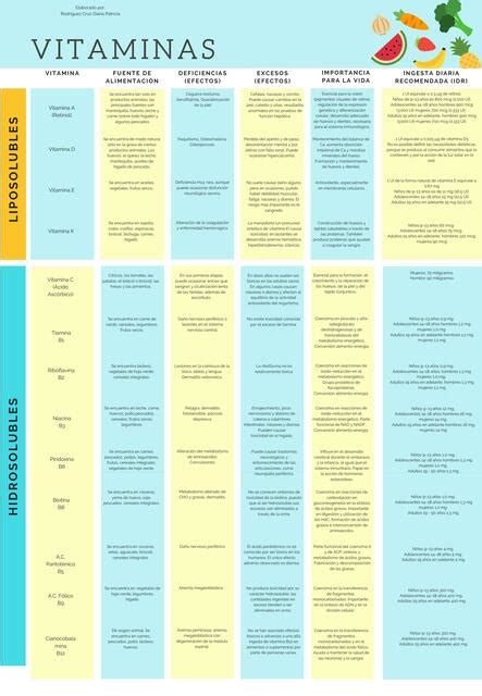 Cuadros Sinopticos Sobre Vitaminas Y Su Clasificacion Cuadro