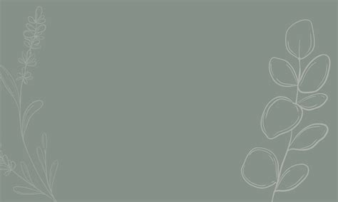 About White Willow — White Willow Event Rentals