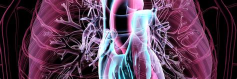 Patients With Pah Lhd Are Frequent And Exhibit Milder Disease And