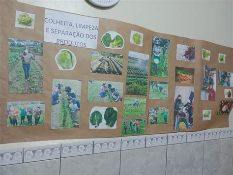 Semana da Alimentação Saudável na Escola Portal da RBAC