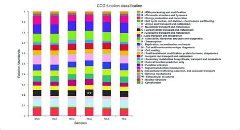 Clusters Of Orthologous Group COG Function Classification Of The Download Scientific