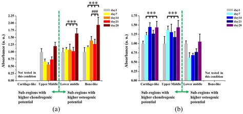 A Proliferation Of Hbmscs In Osteogenic Differentiation Medium Download Scientific Diagram