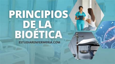 Bioética Concepto Importancia Y Principios Fundamentales