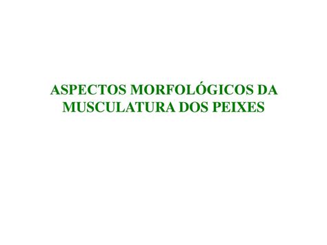 ASPECTOS MORFOLÓGICOS DA MUSCULATURA DOS PEIXES ppt carregar