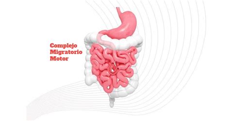 Frecuencia De Comidas Y Problemas Intestinales Ismael Galancho
