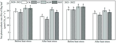 Effects Of Spraying Kh 2 Po 4 On Net Photosynthetic Rate Pn In Flag
