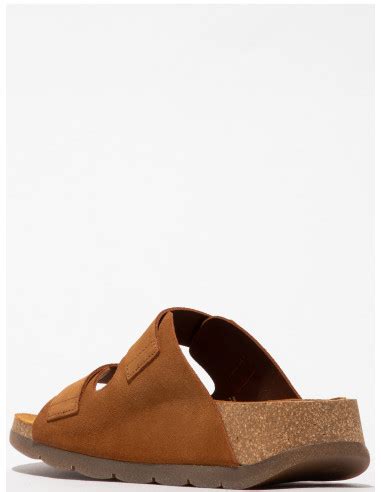 CAJA Camel