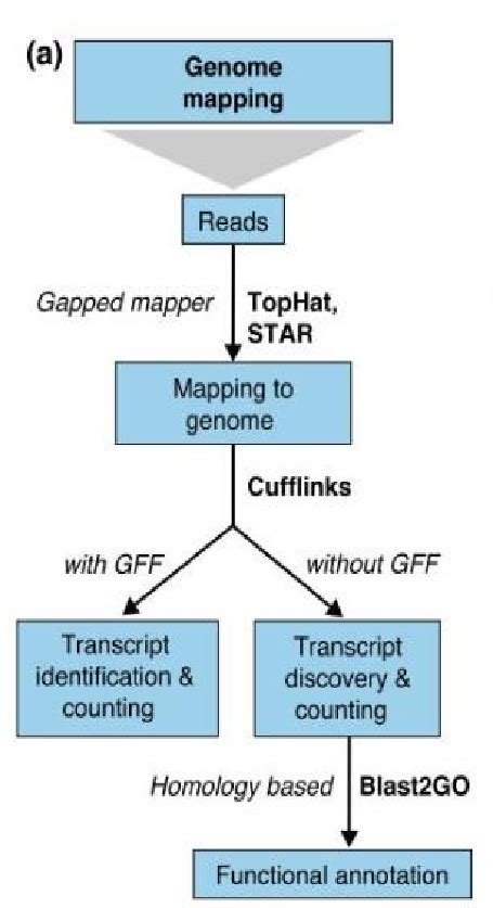 System Integration Analysis Download Scientific Diagram
