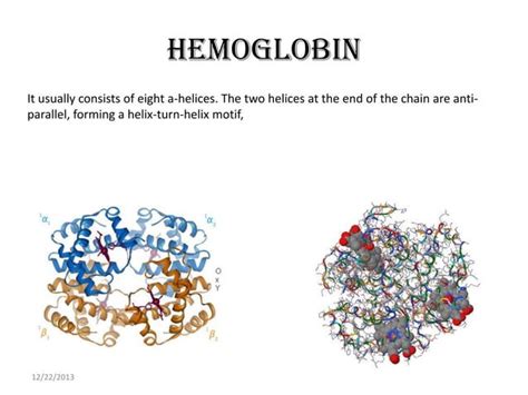 Structural Evolution Of Globulin Protein Ppt