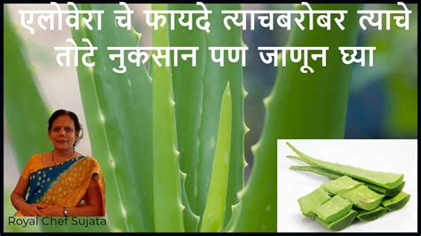 Benefits And Side Effects Of Aloe Vera In Marathi Royal Chef Sujata