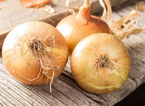 Tombée d oignons Eureden Foodservice