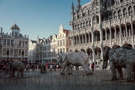 One Week In Brussels Unveiling The 10 Best Photo Spots In Belgiums