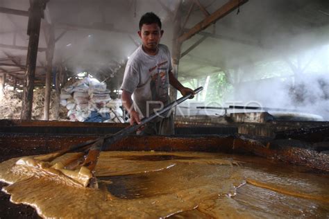 PRODUKSI GULA MERAH TEBU TURUN ANTARA Foto