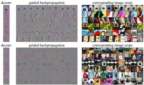 “直观理解”卷积神经网络二：导向反向传播guided Backpropagation 知乎