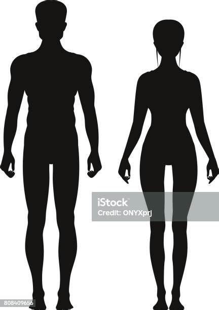 스포티 한 남성과 여성의 전면 보기 서 실루엣 벡터 해부학 모델 여성에 대한 스톡 벡터 아트 및 기타 이미지 여성 남성
