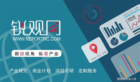 2025 2030年中国精酿啤酒行业深度调研及投资战略分析报告全球发展进出口