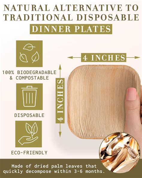 Snapklik Brheez Bamboo Plates Made From Palm Leaf 10 Party