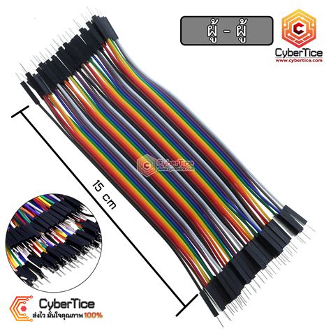สายจั๊มเปอร์ 15cm ผู้ ผู้ Arduino Esp32 Esp8266 40 เส้น Jumper Wire ขาย Arduino อุปกรณ์