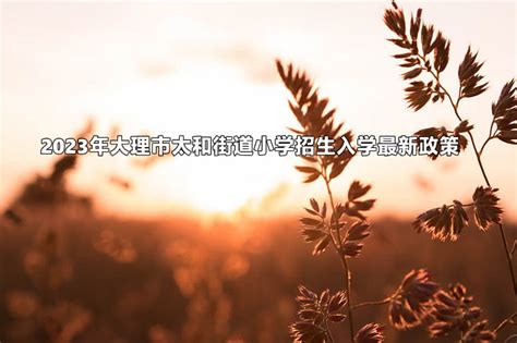 2023年大理市太和街道小学招生入学最新政策小升初网