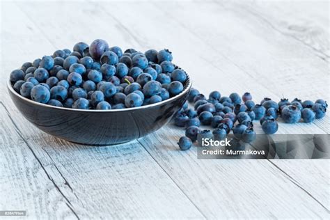 신선한 블루베리를 선택 월 귤 나무속 나무 배경입니다 블루베리 항 산화입니다 건강 한 식습관과 영양에 대 한 개념 개념에 대한 스톡 사진 및 기타 이미지 Istock