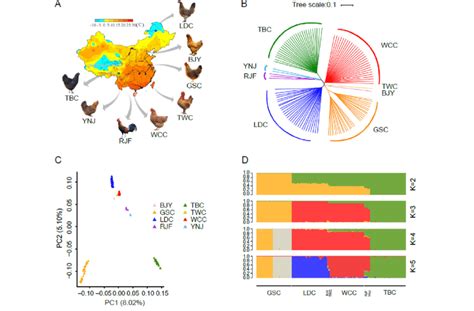 Population Genetics A Geographic Locations Of The 126 Individuals A Download Scientific