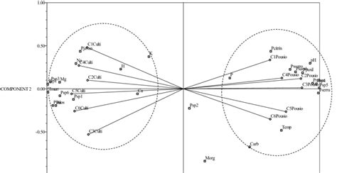 Two Dimensional Projection Of The First Two Factors Of The Principal Download Scientific