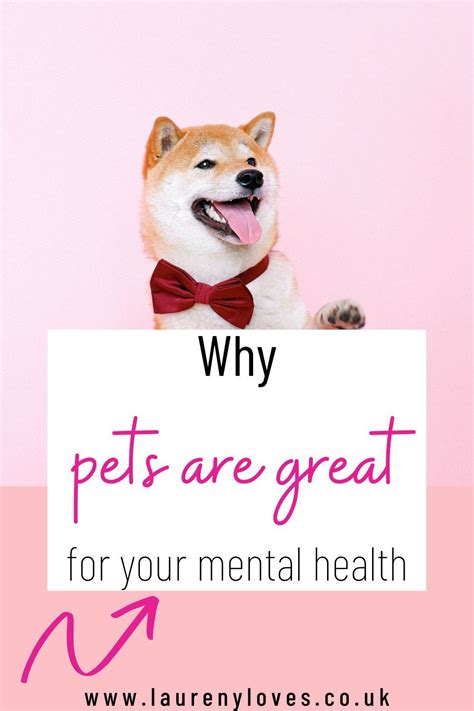 5 Amazing Ways Pets Can Improve Your Mental Health Artofit