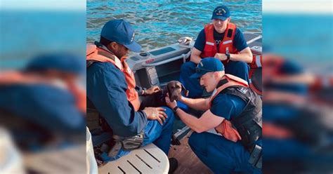 Video Shows Us Coast Guard Rescue Dog From Water Off North Carolina