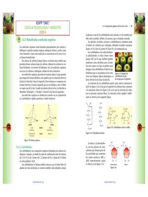 Biomoléculas Orgánicas Pdf