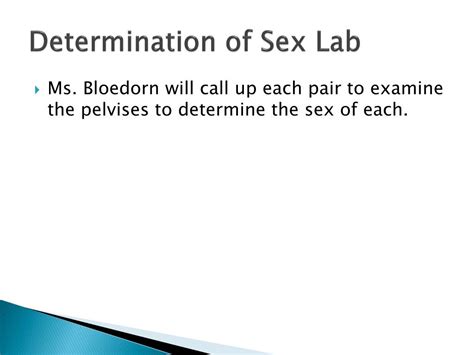 Ppt Sex Determination Lab Powerpoint Presentation Free Download Id2649913