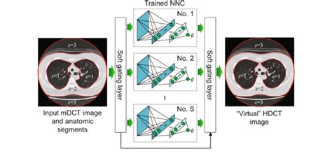 The Architecture Of An Anatomy Specific Multiple Nnc Scheme That Download Scientific Diagram