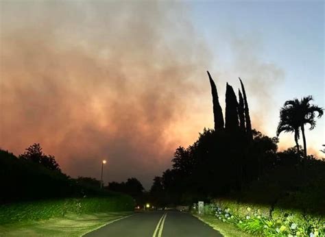 Maui Evacuations As People Leap In Sea To Escape Hurricane Dora Salfa