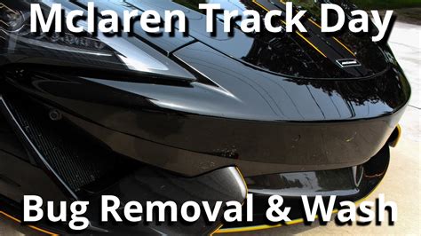 How To Remove Bugs From Car Safest Method Youtube