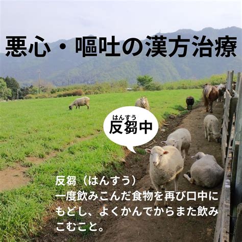 嘔吐・吐き気の漢方治療 │ 【漢方専門】みなみ野漢方薬局