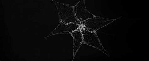 Watch A Net Capture A Satellite In Space Autoevolution