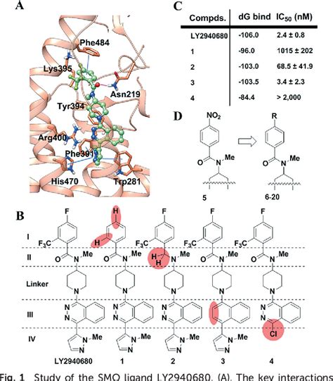 Figure From A Structurally Guided Dissection Then Evolution Strategy For Ligand Optimization